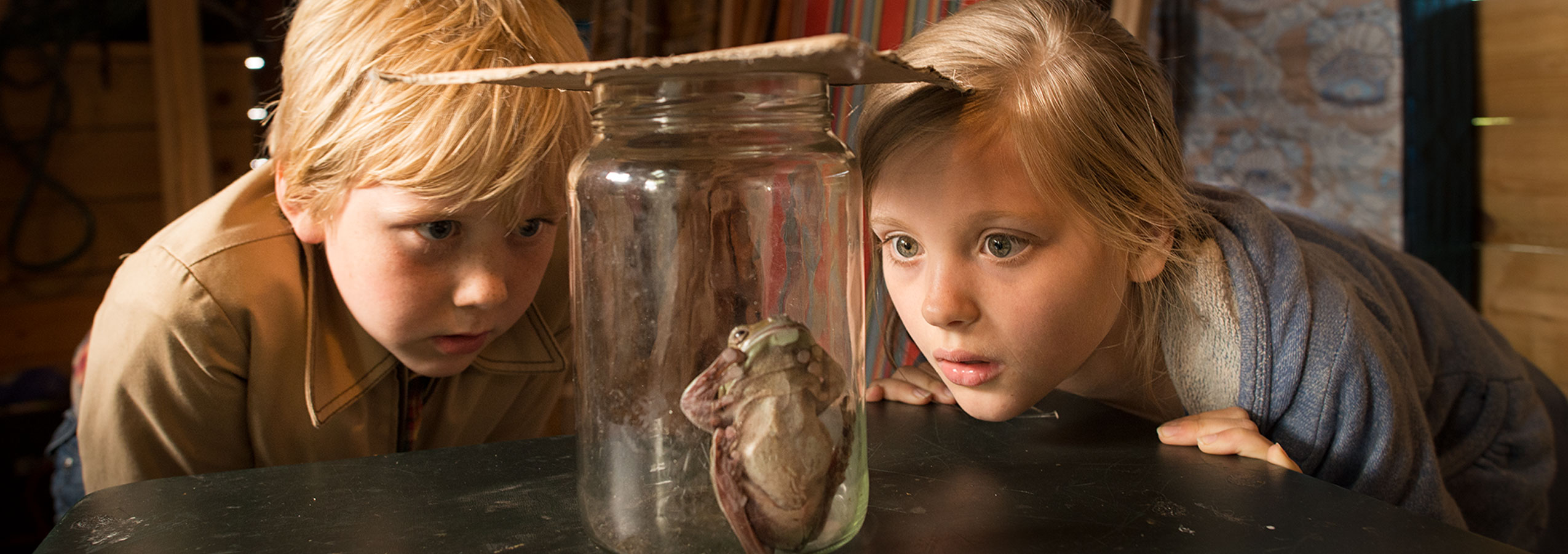 Mr.Frog (Netherlands) Film - Northwest Film Forum Seattle