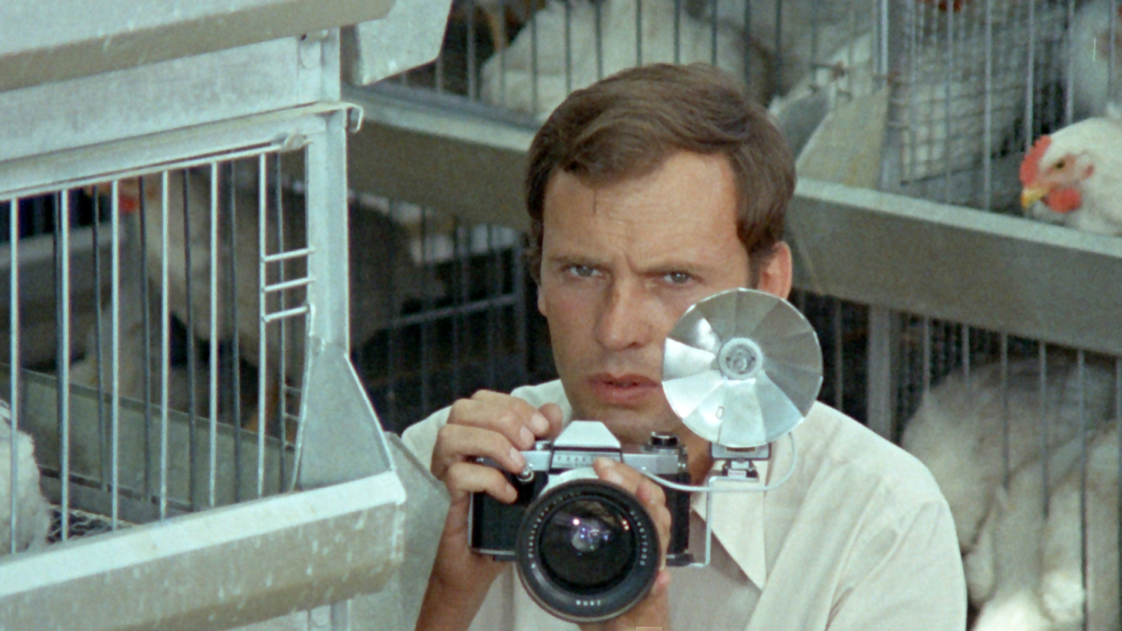 Terrore Giallo! – Death Laid an Egg - Northwest Film Forum