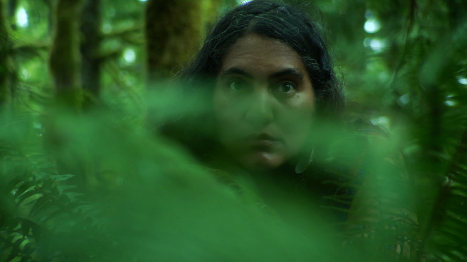 Jack Straw Shorts - Northwest Film Forum