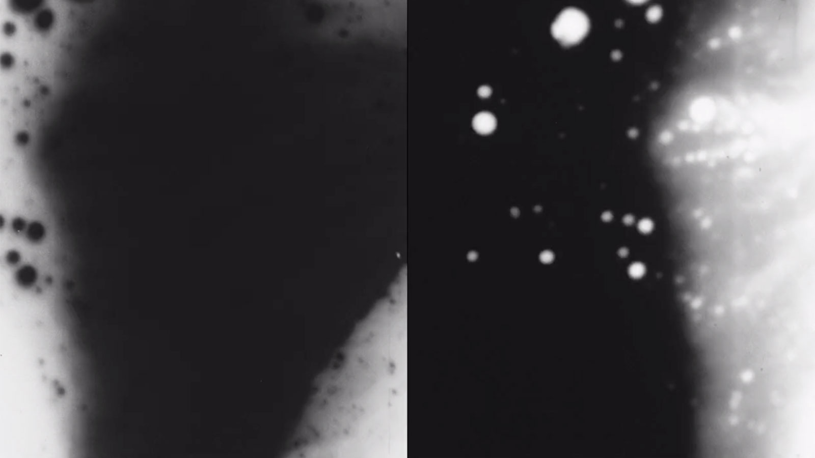 Cameraless Filmmaking: Photograms and Ray-o-grams - Northwest Film Forum