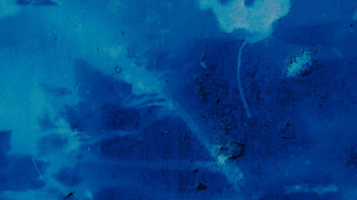 Tangled Up in Blue: Experimental Cyanotypes on 16mm film with Kate Lain ...
