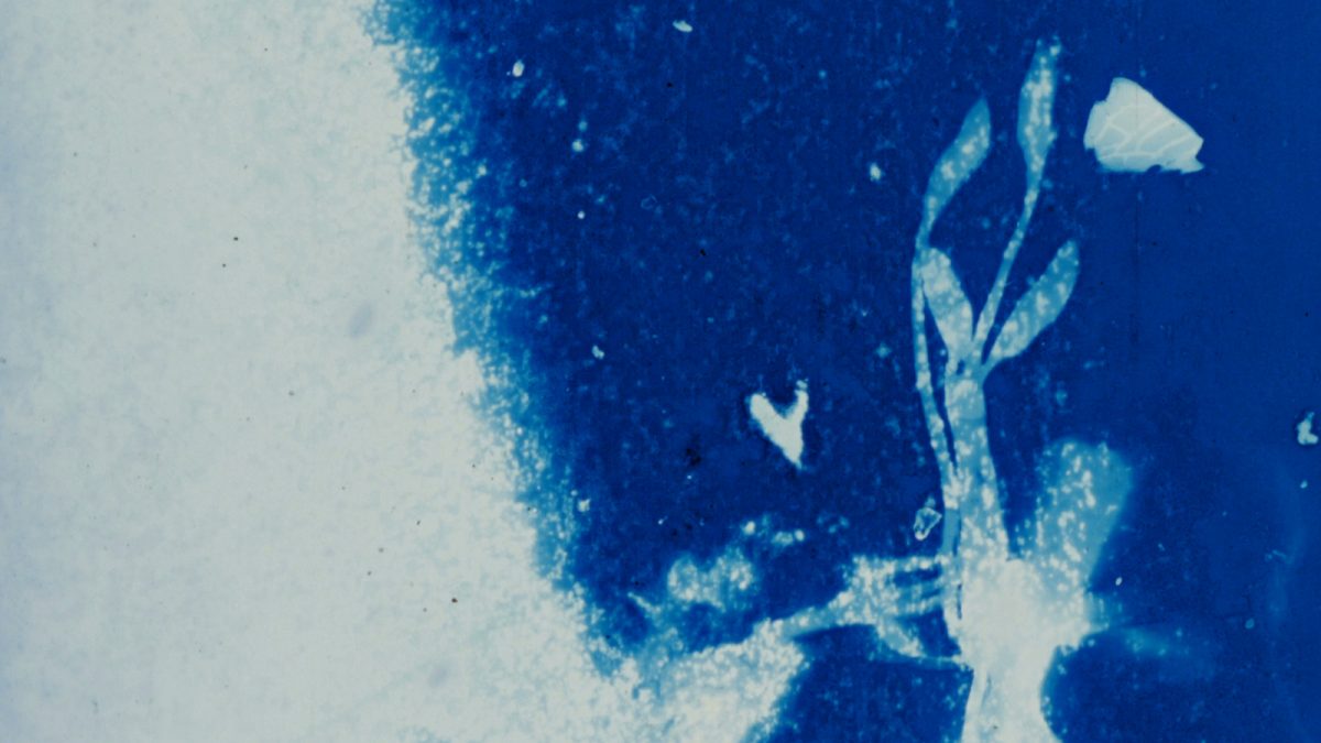 Tangled Up in Blue: Experimental Cyanotypes on 16mm film with Kate Lain ...