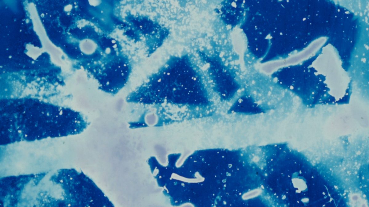 Tangled Up in Blue: Experimental Cyanotypes on 16mm film with Kate Lain ...