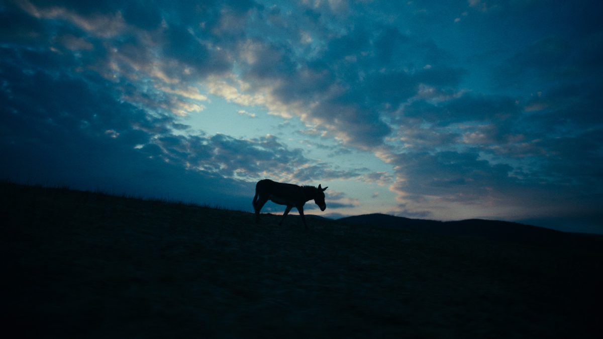 EO [In-Person Only] - Northwest Film Forum