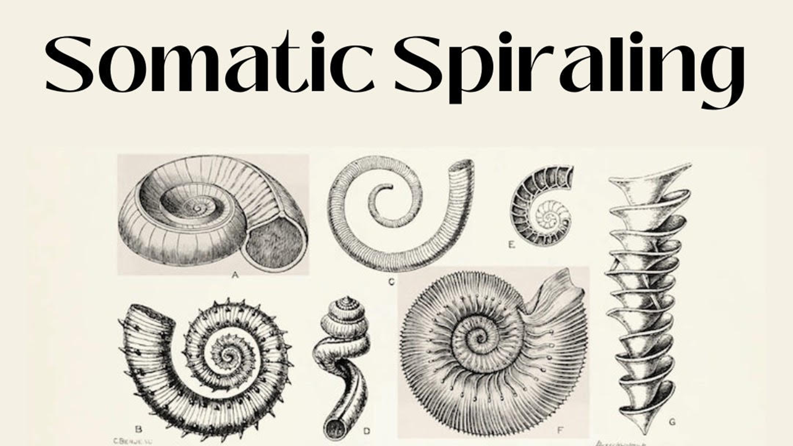 Somatic Spiraling: The Body as a Creative Resource – An AWP Offsite ...