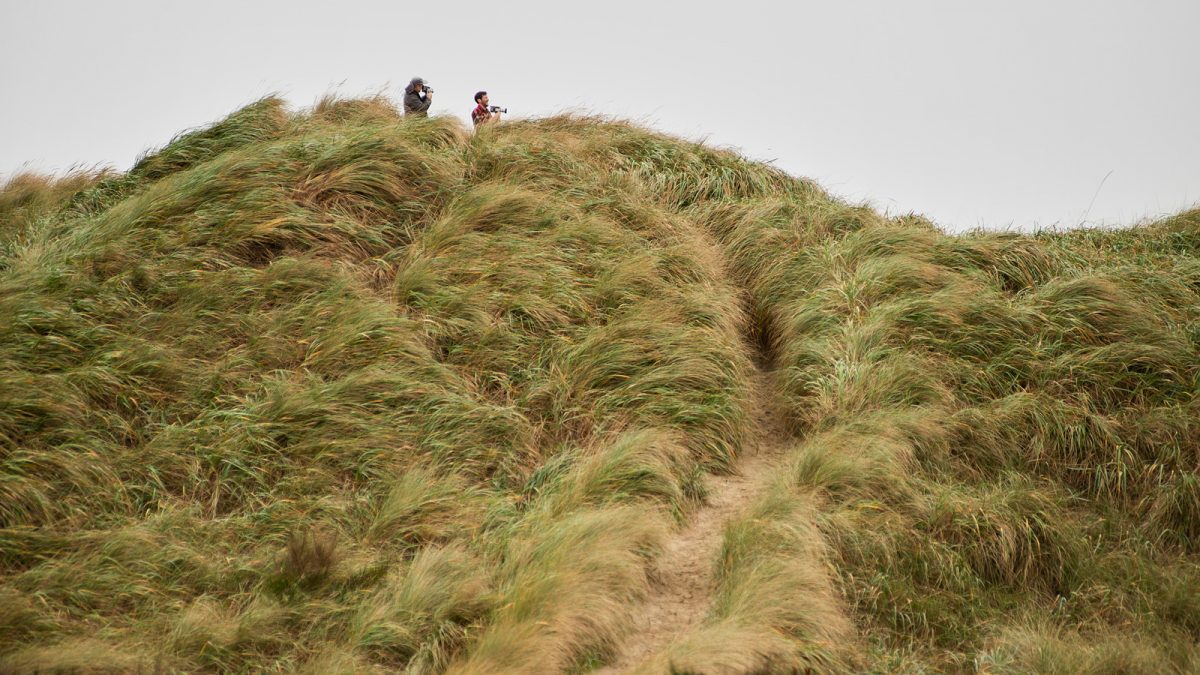 Sam Now [In-Person Only] - Northwest Film Forum