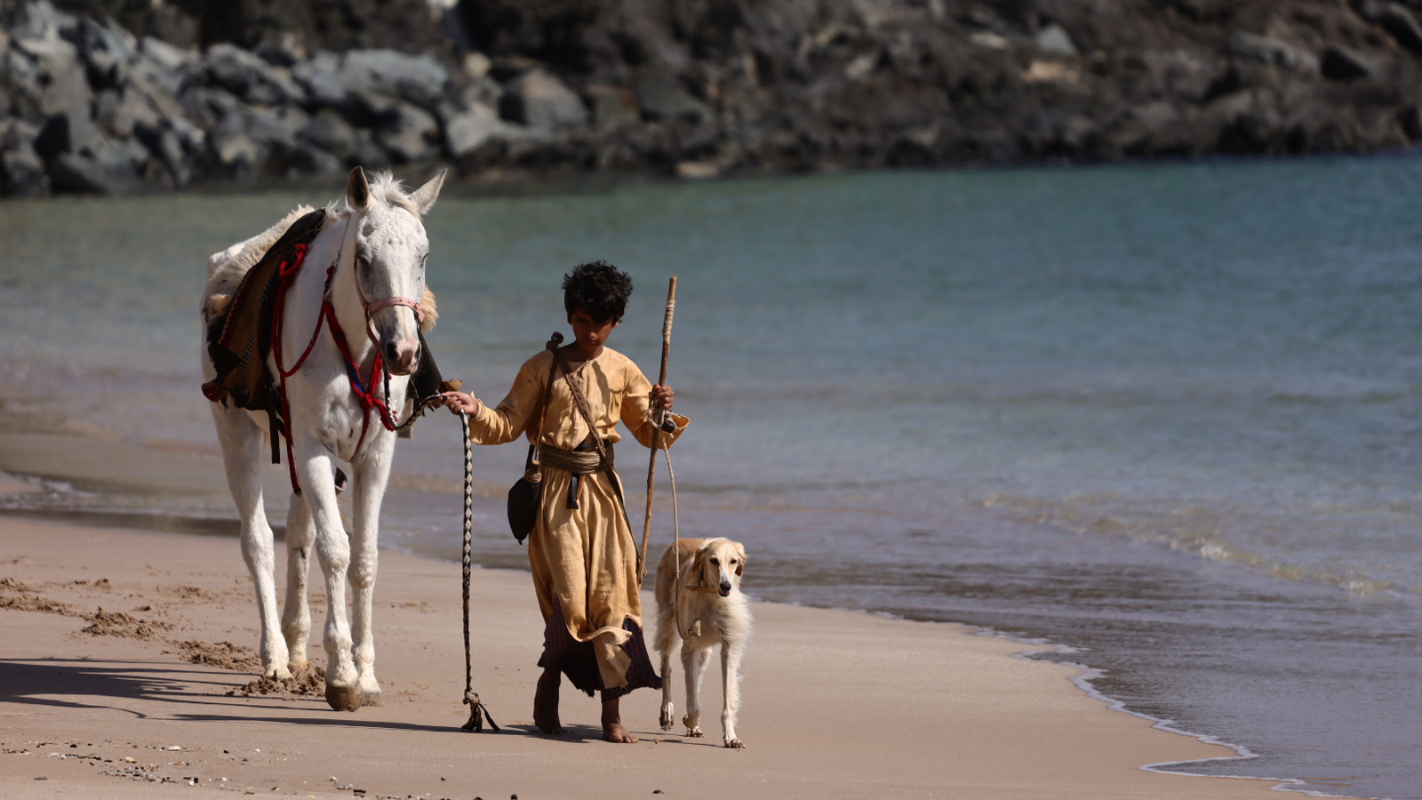 CFFS 2024 – Mountain Boy (Ages 10+) [Hybrid] - Northwest Film Forum