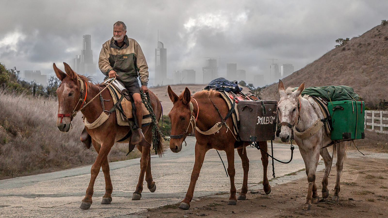 Local Sightings 2024 – CALL ME MULE [In-Person Only] - Northwest Film Forum