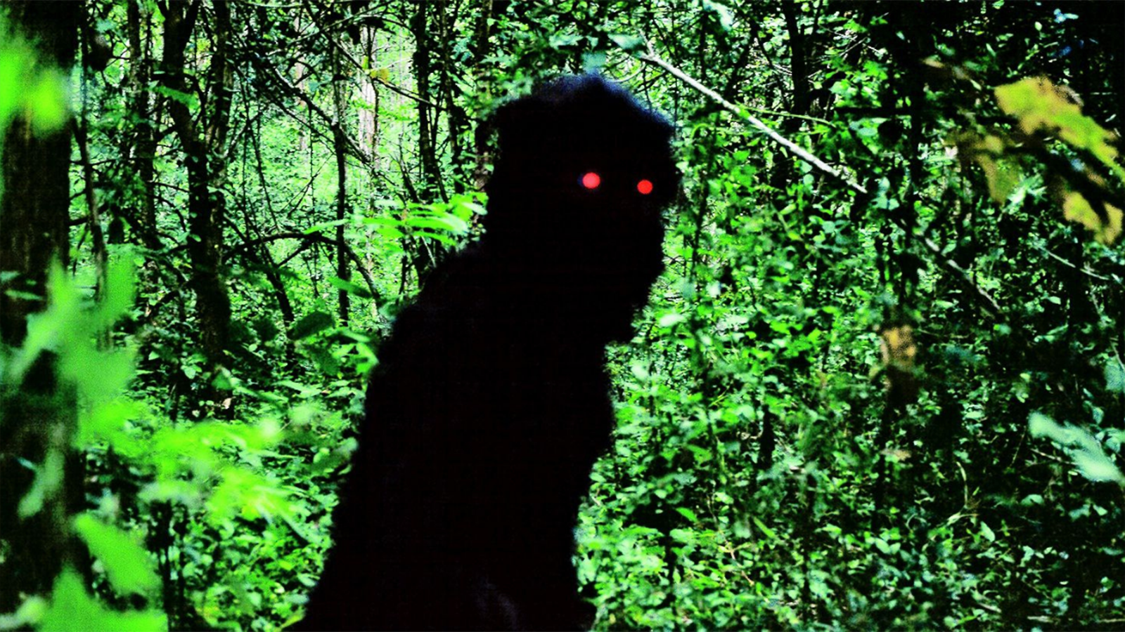 Uncle Boonmee Who Can Recall His Past Lives with Henry Art Gallery ...